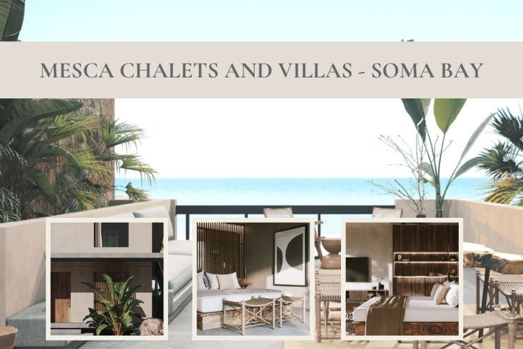 .beachfront | Home Page