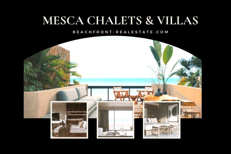 .beachfront | Home Page